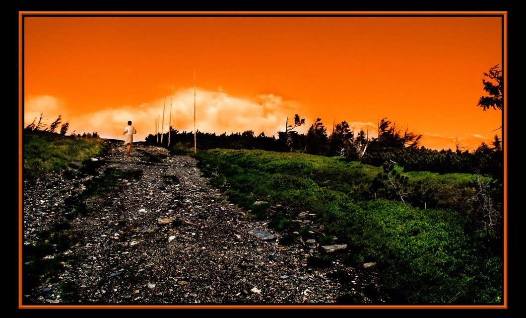 Endure | Think...Feel...Be....BodyWise!